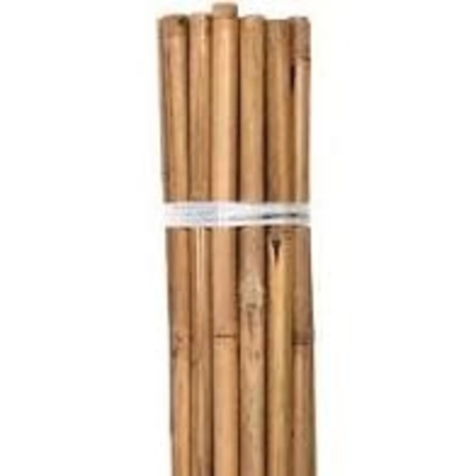 Grower's Edge Natural Bamboo 8' Bulk 50/pack – Cheapest Hydro